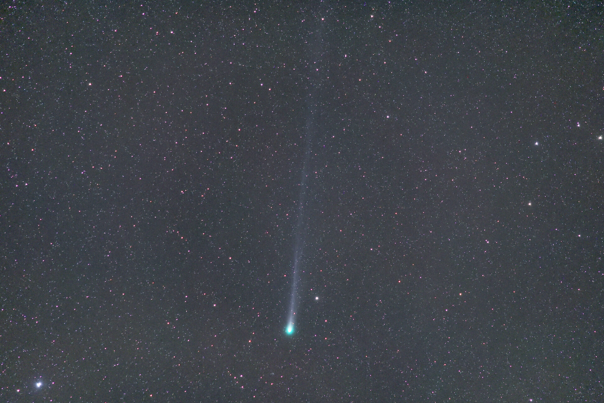 Der Komet C/2025 A6 (Lemmon) ist im Oktober bzw. November 2025 gut zu beobachten ...